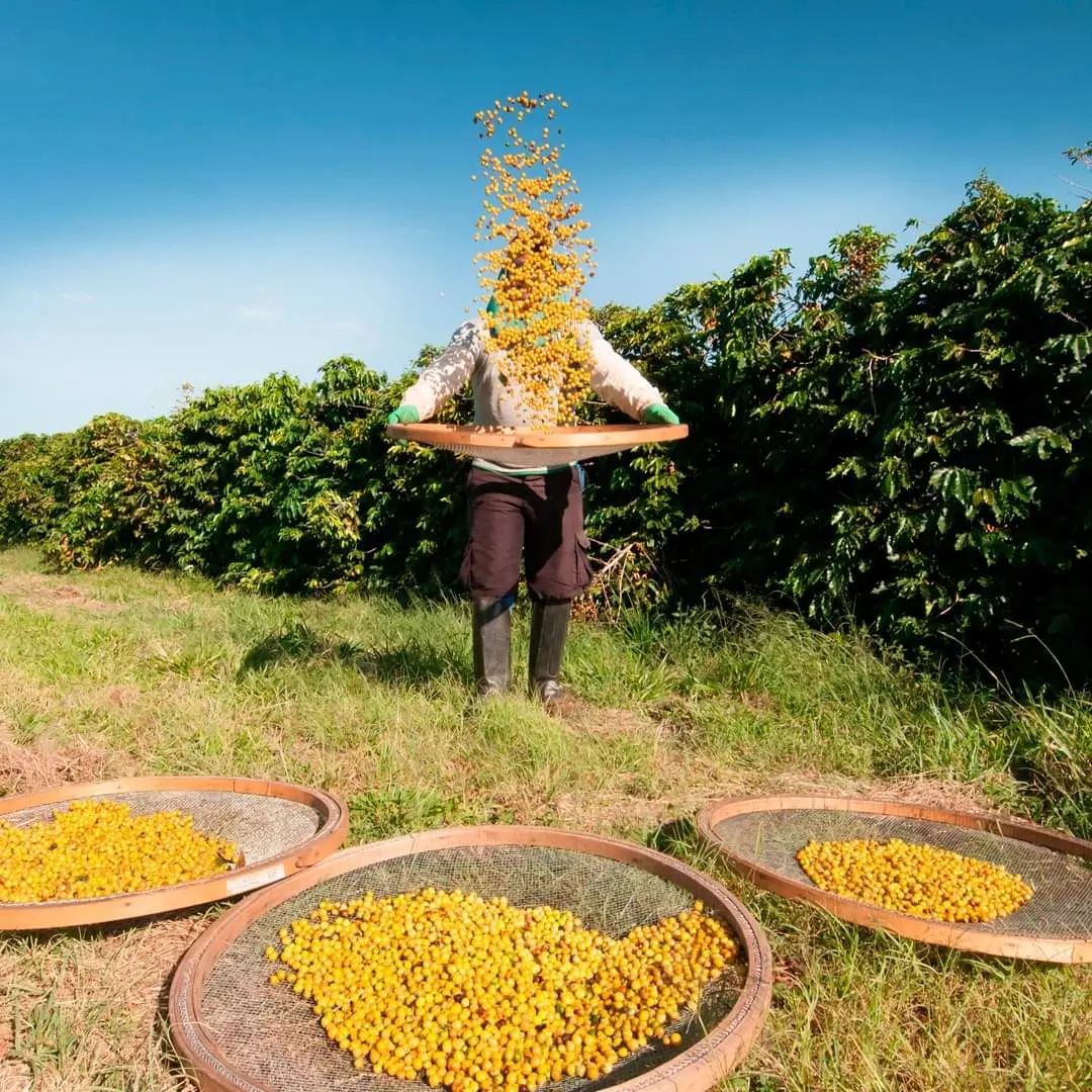 Iced Coffee Almond Milk | Press Cold Drip Coffee - First Press Coffee